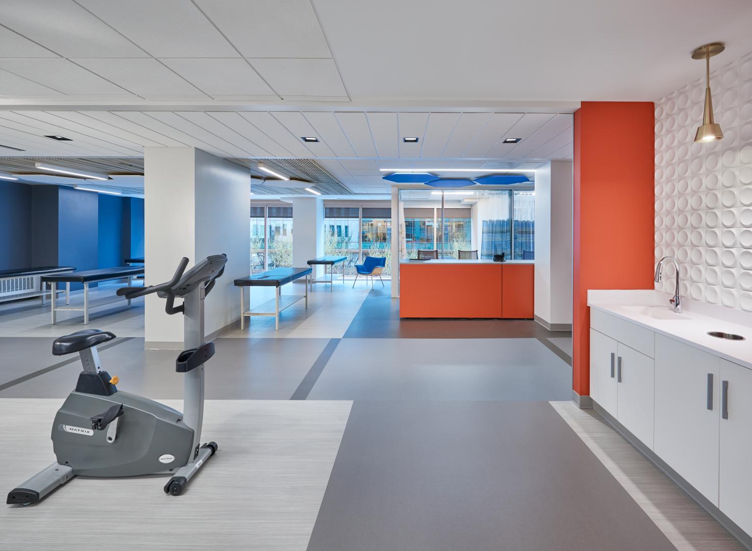 Cosmos Rx | EcoSurfaces